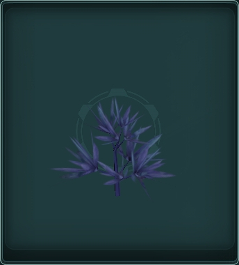 Plant Details - The Junkyard