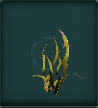 Plant Details - The Junkyard