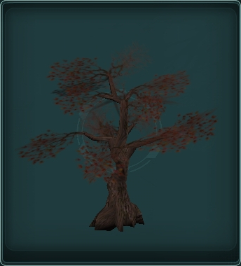 Plant Details - The Junkyard