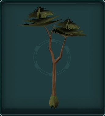 Plant Details - The Junkyard