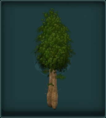 Plant Details - The Junkyard