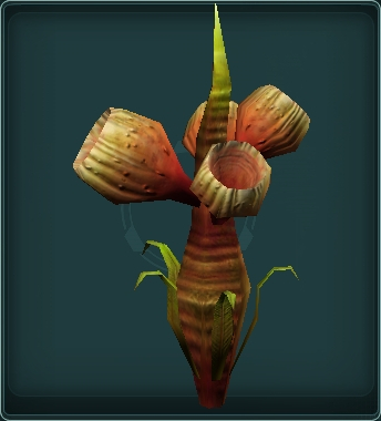 Plant Details - The Junkyard