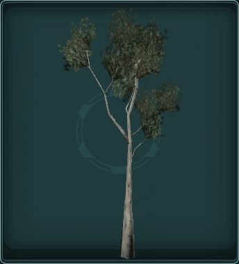 Plant Details - The Junkyard