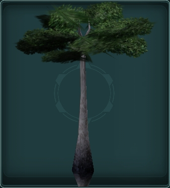 Plant Details - The Junkyard